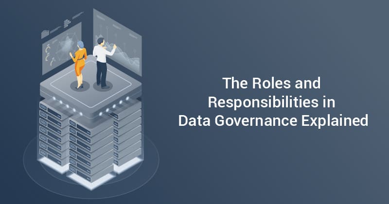 What are the Roles and Responsibilities in Data Governance?